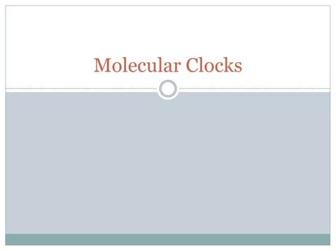 Ppt Molecular Clocks Powerpoint Presentation Free Download Id2563438
