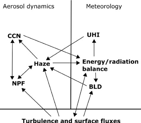Aerosols Clusters Greenhouse Gases Trace Gases And Boundary Layer Dynamics On Feedbacks And