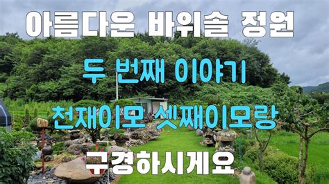 다시 만나는 8월의 바위솔 정원 입이 떡 벌어집니다 힐링하십시오~ Youtube