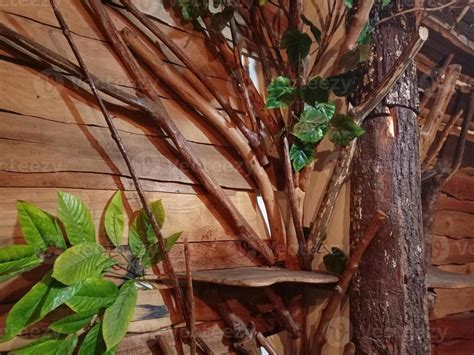 Room Decoration With Beautiful Tree Roots 22972648 Stock Photo At Vecteezy