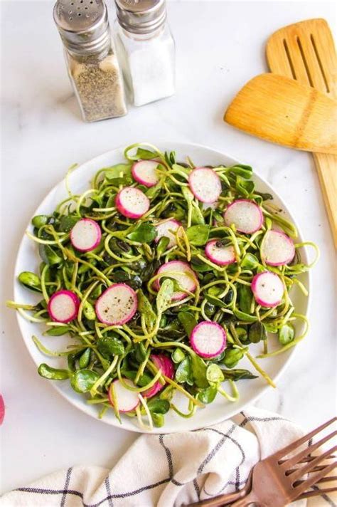 20 Fresh Microgreens Recipes For Healthy Eating Must Eat Food