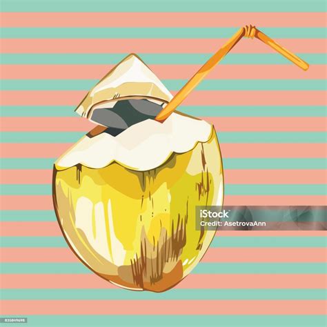 벡터 코코넛 손으로 그려진된 밑그림입니다 수채화 벡터 열 대 음식 그림입니다 흰색 배경에 고립 0명에 대한 스톡 벡터 아트 및 기타 이미지 Istock