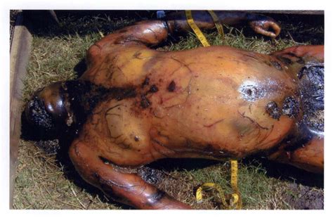 Stages Of Decaying Human Body