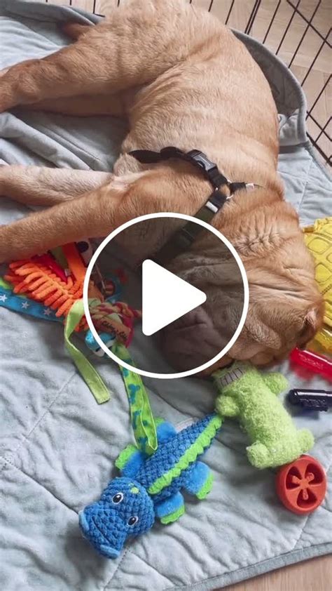 😭will Ferrell Is An American Actor Comedian Writer And Producer Best Known For His Work In