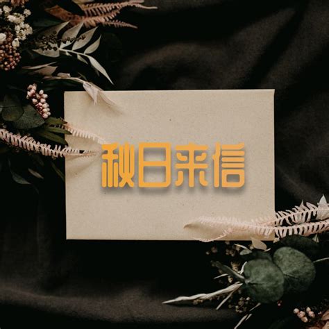 如风 王菲 高音质在线试听 如风歌词 歌曲下载 酷狗音乐