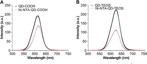 Figure From The Modification Of Quantum Dot Probes Used For The Targeted Imaging Of His Tagged