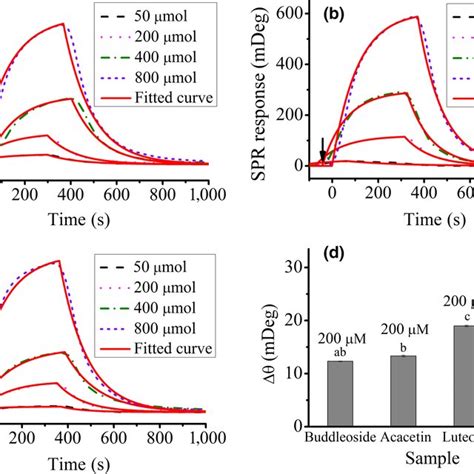 Spr Kinetic Curves Of Binding Process Between Buddleoside A Acacetin Download Scientific