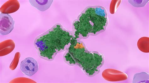 Monoclonal Antibodies A New Treatment For Long Covid Medical News Alley