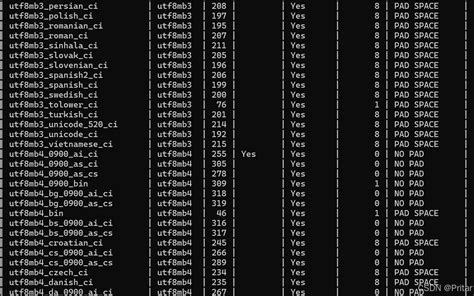 查看数据库 Csdn博客