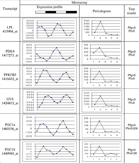Experimental Verification Of Selected Microarray Expression Profiles In