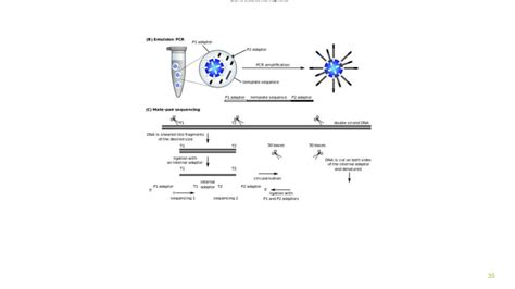 next generation sequencing strategies pptx