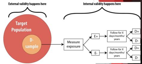 Biostatistics Ii Flashcards Quizlet