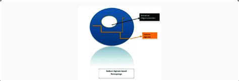 Sodium Alginate Based Nanosponge Download Scientific Diagram