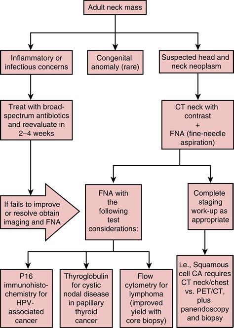 Head And Neck Malignancy Clinical Tree
