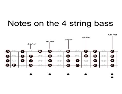 4 String Bass Guitar Notes Chart