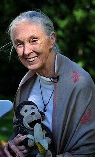 Jane Goodall Jane Goodall Interview On October 8 2010 Dur Flickr
