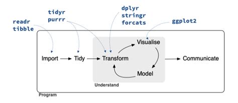 data science cycle and the core tidyverse packages that address each