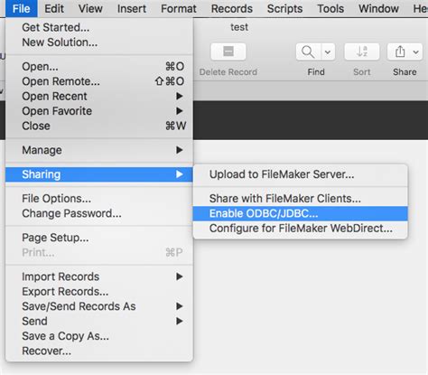 Working With Filemaker Data In Python David Hamann