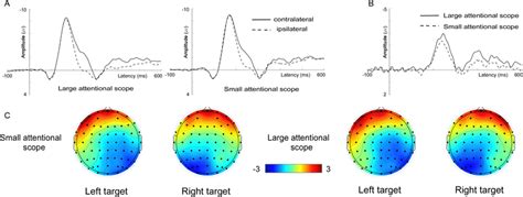 Waveforms And Voltage Topographies Of N2pc Components A