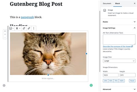 Creating Your First Gutenberg Blog Post Web Strategies