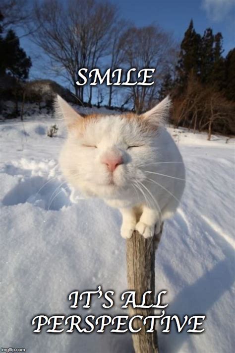 Perspective Memes And S Imgflip