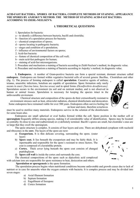 Acid Fast Bacteria Spores Of Bacteria Complete Methods Of Staining Pdf