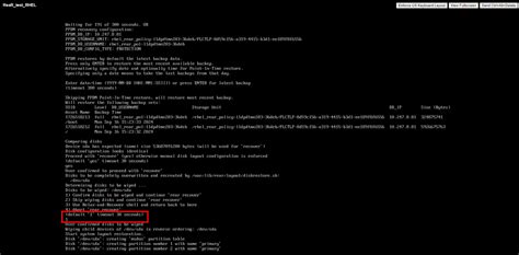 recovery simplifying linux bmr for powerprotect data manager using