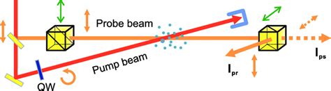 Schematic Setup Of The Polarization Spectroscopy The Polarization Axes Download Scientific