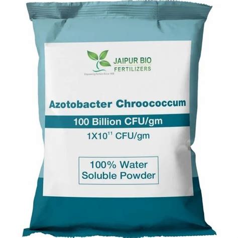 Azotobacter Chroococcum 100 Billion At ₹ 1000kg Microbial Biofertilizer In Jaipur Id