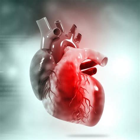 Error Gradle Task Assembledebug Failed With Exit Code 1