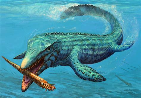 Mosasaurus Prähistorische Lebewesen Und Erdzeitalter Wiki Fandom