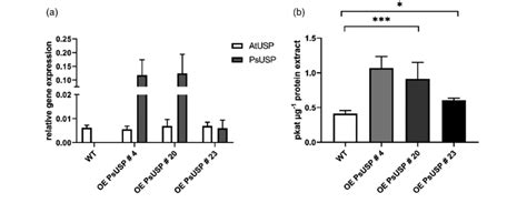 Characterization Of Udp Sugar Pyrophosphorylase Usp Overexpression Download Scientific
