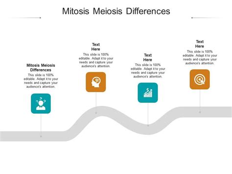 Mitosis Meiosis Differences Ppt Powerpoint Presentation Outline Cpb Presentation Graphics
