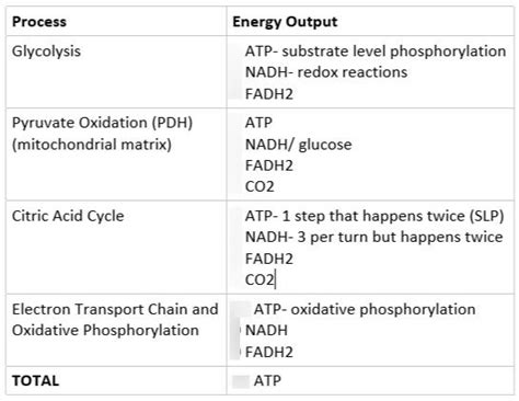 Bio Exam 3 Diagram Quizlet