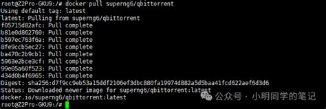 推荐几个 Docker 镜像加速地址 Docker镜像加速地址 Csdn博客
