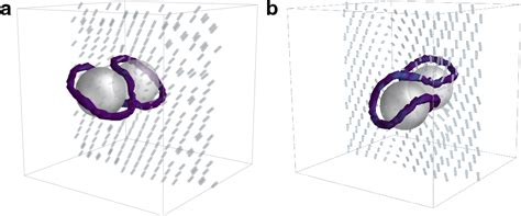 Figure 11 From Entangled Nematic Disclinations Using Multi Particle