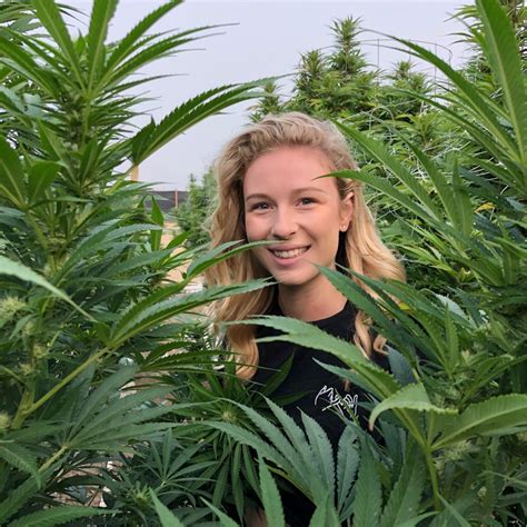 Emma Pielow Senior Sales Representative Cookies Linkedin