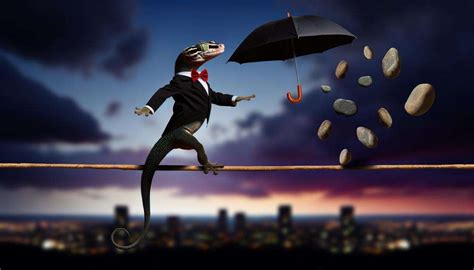 Professional Liability Insurance Geico