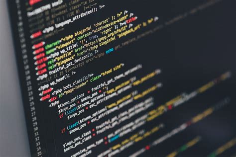 languages choosing the right path in different programming
