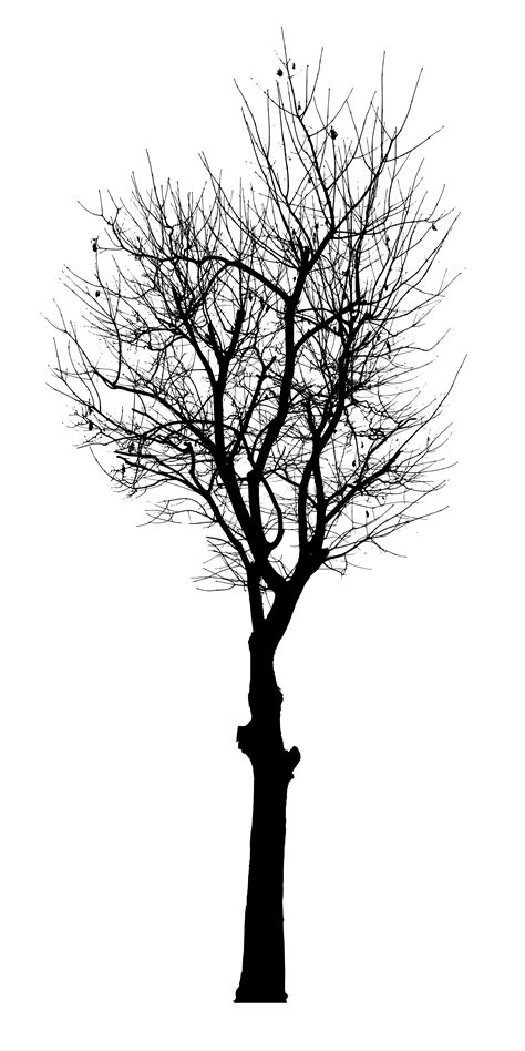 Black Tree Vector SVG PNG OnlyGFX Com