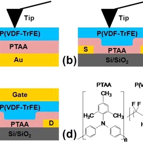 Pfm Response Of A P Vdf Trfe Film In A Fefet Configuration With A 25