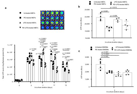 Ultrahigh Molecular Weight Polyethylene Pe Particles Alone Or In