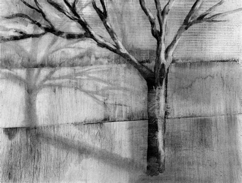 Tree And Shadow Drawing