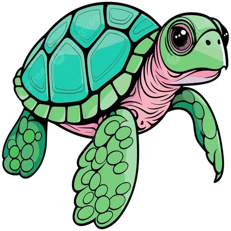 Shell Pattern Vector PNG Vector PSD And Clipart With Transparent Background For Free Download