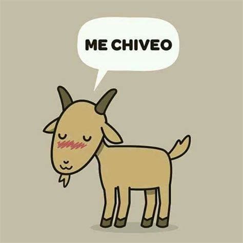 Me Chiveo Oficial Tony Alfaro Se Suma A Prueba Al Guadalajara🐐⚽ El