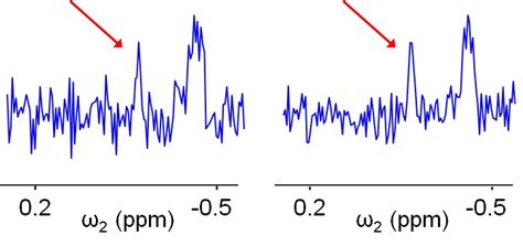 55 Effects Of The Sample Equipment And Recording Regimes On The Nmr