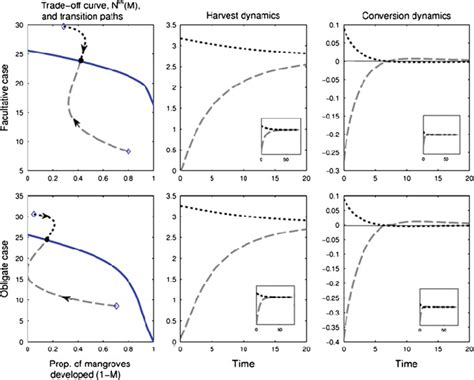 Optimal Dynamic Solution Of Harvest And Mangrove Conversion With Storm Download Scientific