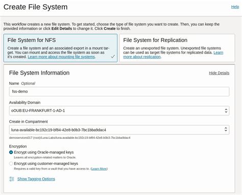 Provision Persistentvolumes Using File Storage Service On Oracle Cloud Native Environment