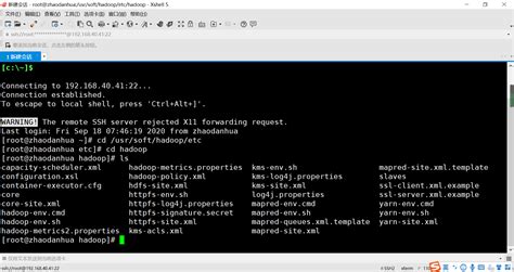 hadoop jps命令启动后无法显示datanode jps后不显示datanode csdn博客