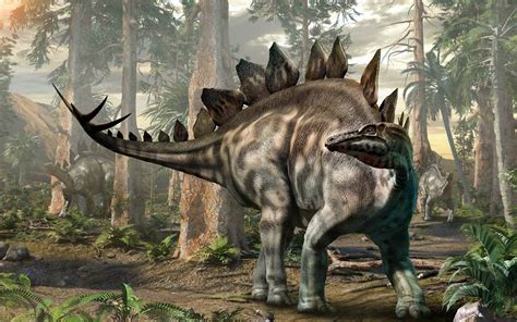 Stegosaurus Birdbrain